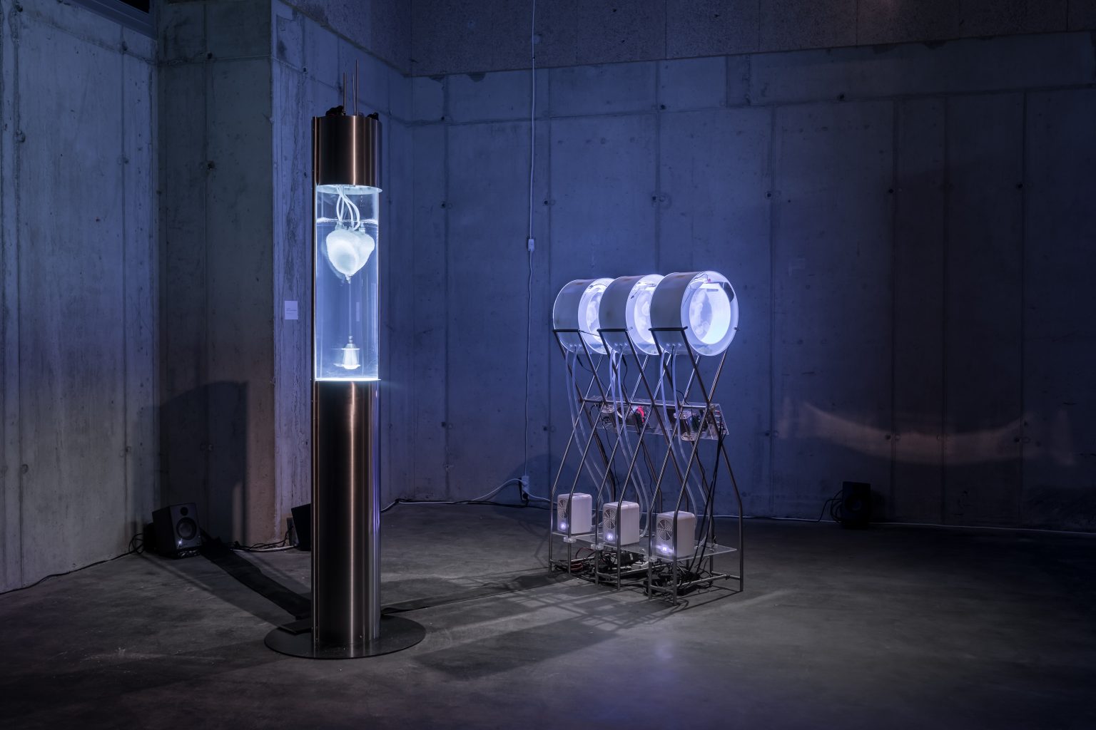 Aurelia 1+Hz / Proto Viva Generator ||| interactive generative ...