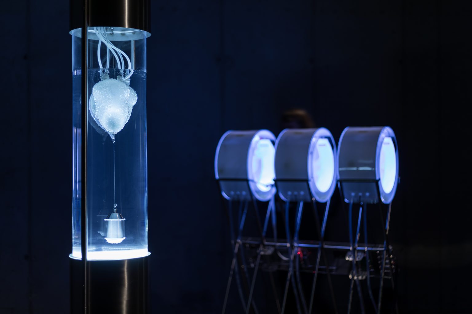 Aurelia 1+Hz / Proto Viva Generator ||| interactive generative ...